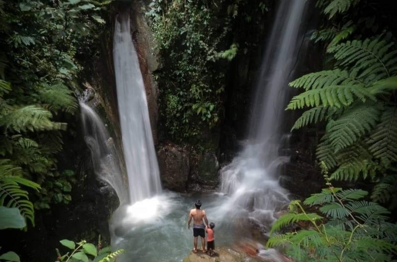 Jungle Milk Jayagiri Lembang – CAFIndonesia