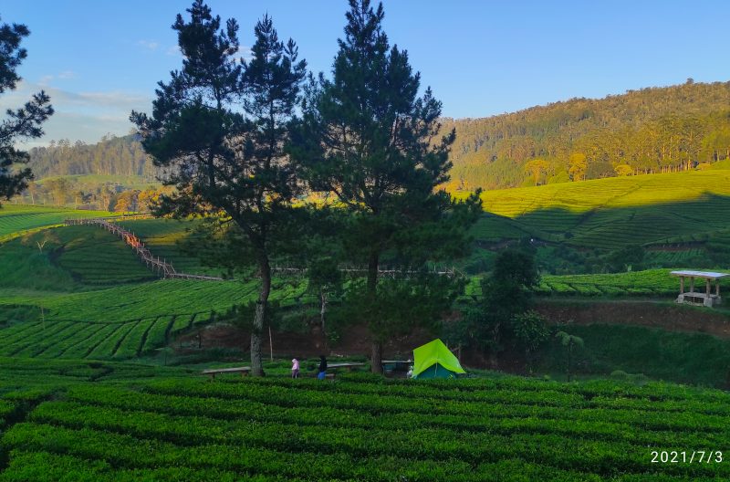 Bukit Kabayan Camping Ground – CAFIndonesia
